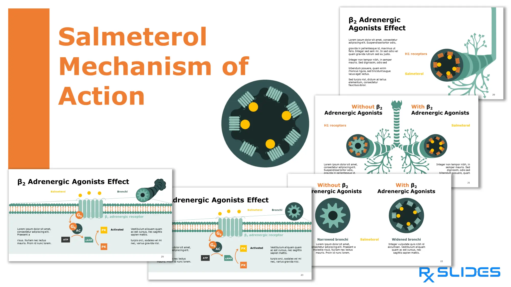 Download Salmeterol PowerPoint Template|RxSlides